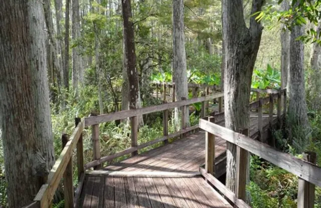 Beautifica 360 - Fort Myers, FL